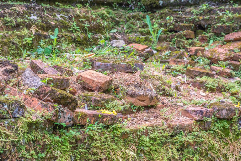 296 Mossy Wall Temple Stock Photos - Free & Royalty-Free Stock Photos ...