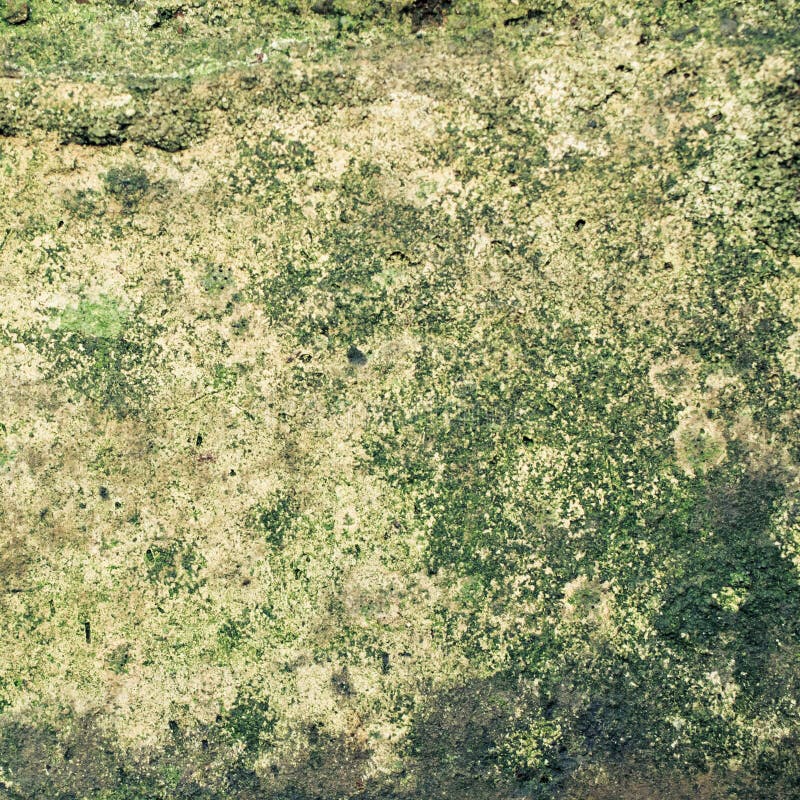Old mossy wall surface stock photo. Image of grungy, background - 37797806