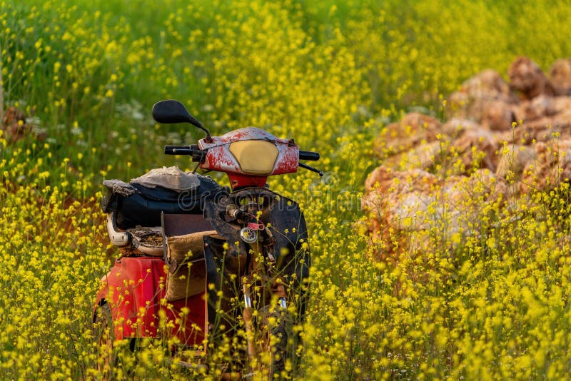 An Old Motorbike in the Field Stock Photo - Image of leaf, lifestyle ...