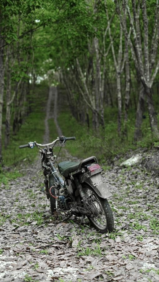 Old Motorcycle is Parked Forest Path Winding through a Lush Rubber Tree ...