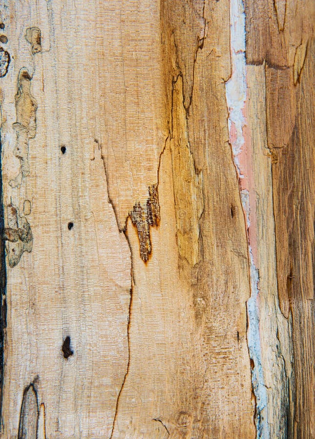 Old Mouldering Oak Wood Texture Stock Photo - Image of desk, structure ...