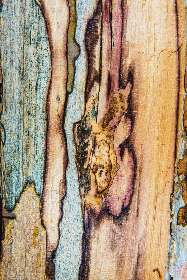 Old Mouldering Oak Wood Texture Stock Image - Image of mouldering ...