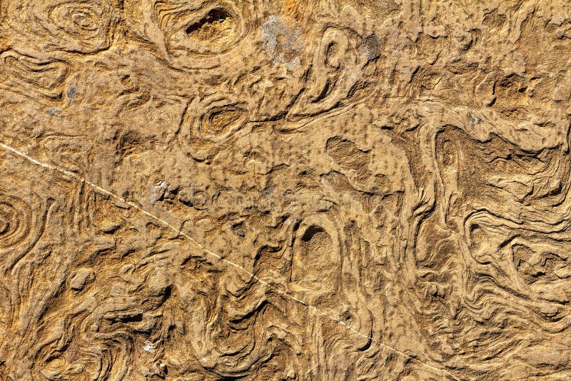 Old mud texture stock image. Image of rough, earth, closeup - 65007917