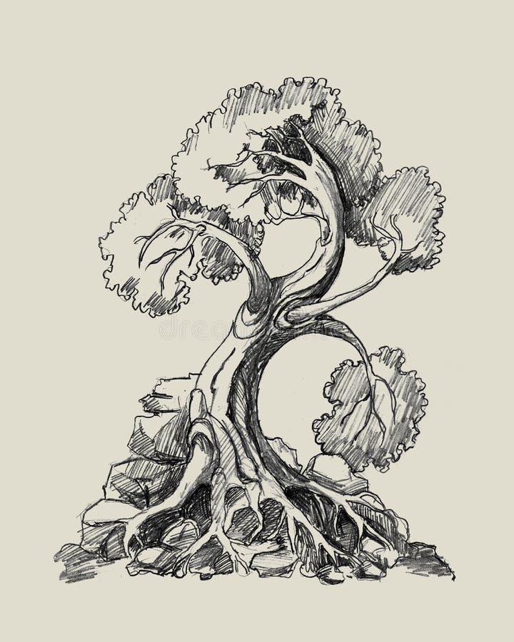 Old Mystical Tree with Foliage. Pencil Sketch Stock Illustration ...