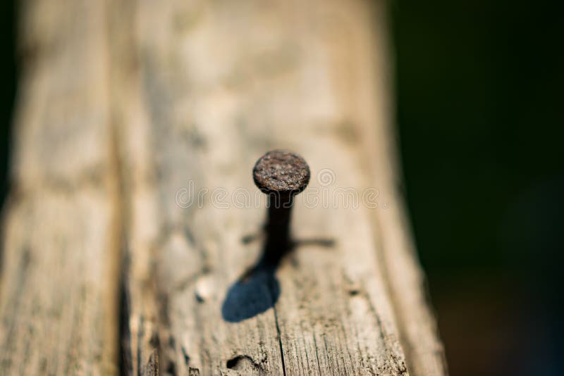 42,287 Old Nail Stock Photos - Free & Royalty-Free Stock Photos from ...