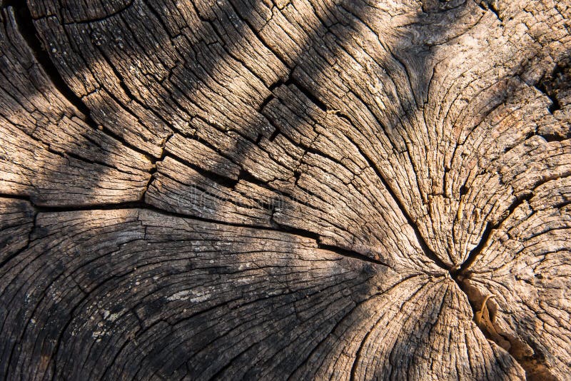 .Old Natural Crack Wood Texture for Background Stock Photo - Image of ...