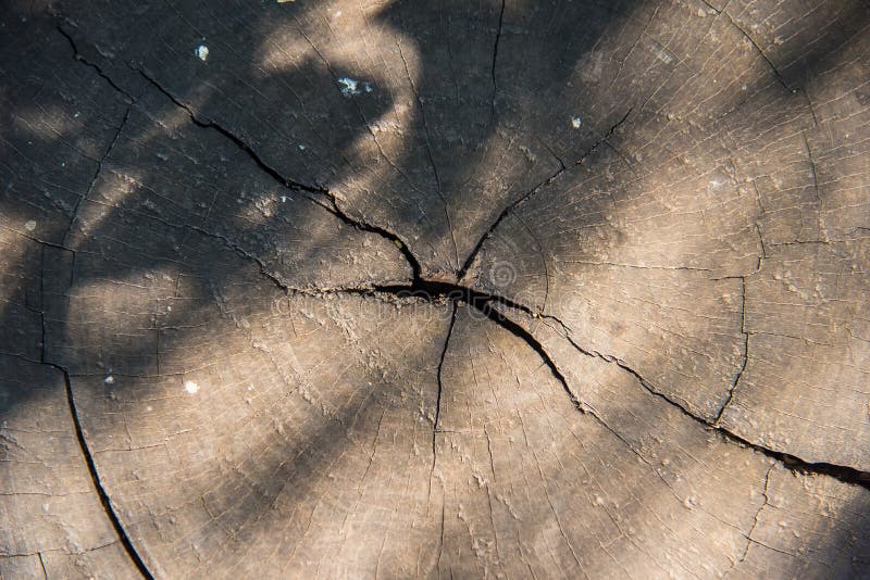 .Old Natural Crack Wood Texture for Background Stock Photo - Image of ...