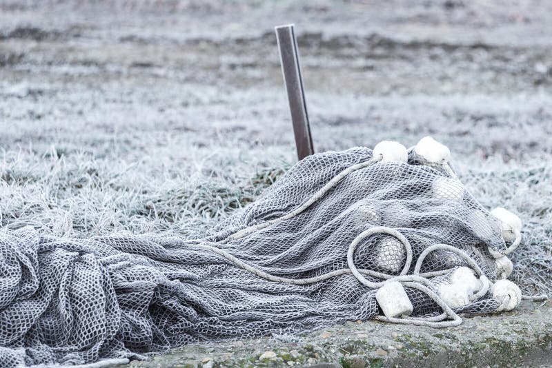 Fishing Nets Left Frozen on the Ground Stock Photo - Image of nature ...
