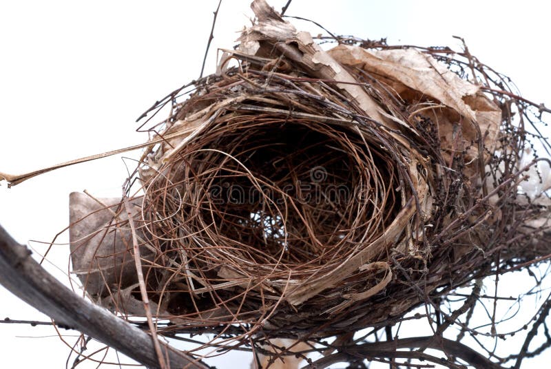 Old nest stock photo. Image of vintage, fertility, parenting - 23231752