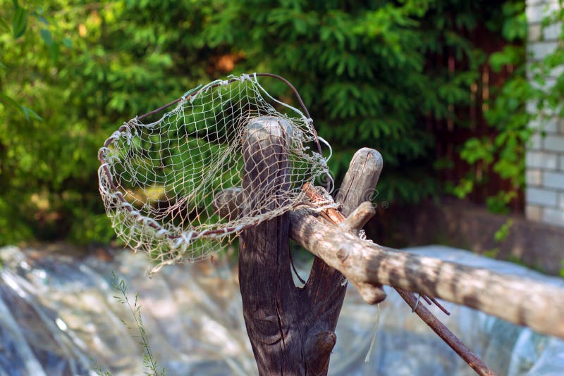 Torn Net Hanging on a Tree after a Flood Stock Image - Image of trash ...