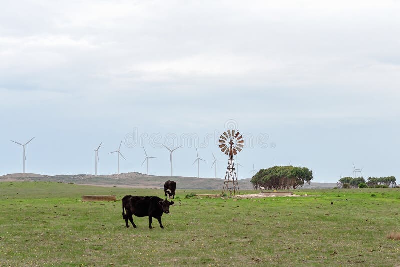 The Old and the New in Harnessing Wind Power Stock Photo - Image of ... The Old and the New in Harnessing Wind Power Stock Photo - Image of ...