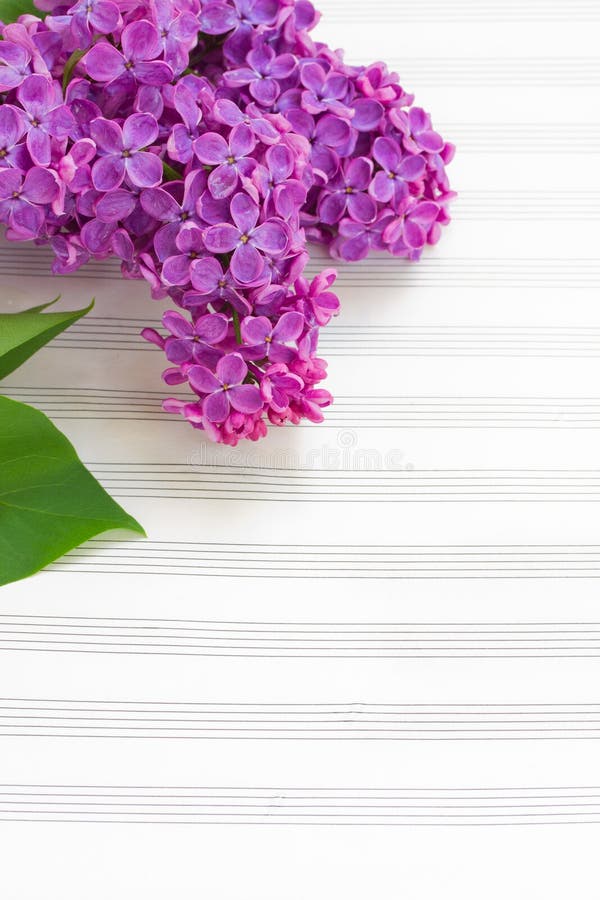 Blank Sppace Stock Photos - Free & Royalty-Free Stock Photos from ...