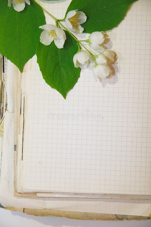 Old Notebook stock image. Image of parchment, pages, paper - 56216043