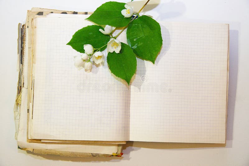 Old Writing Paper Unfolded Stock Photos - Free & Royalty-Free Stock ...