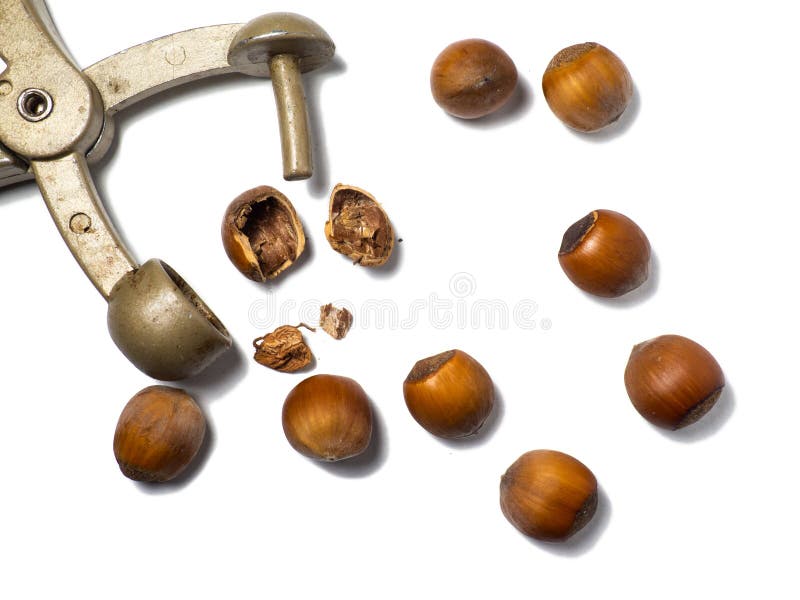 Old Nut Cracker. Hazelnuts on a White Background. Nuts in a Shell ...