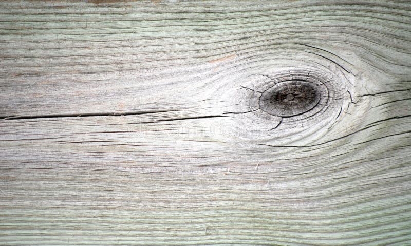 Old oak stock image. Image of rough, wood, surface, hardwood - 13594005