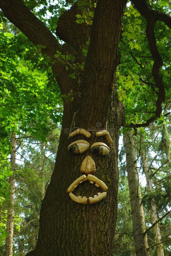 Forest guardian stock photo. Image of imaginary, fantasy - 58374818