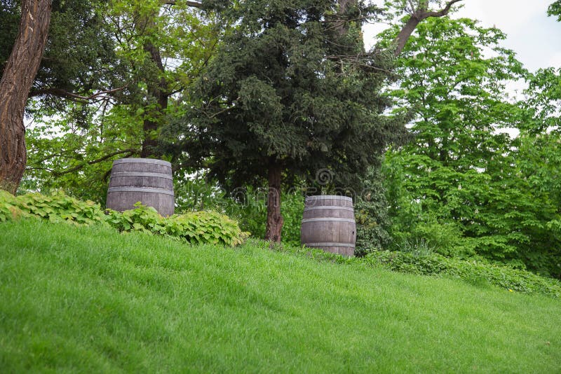 Old oak barrel stock image. Image of plant, scene, travel - 31957393