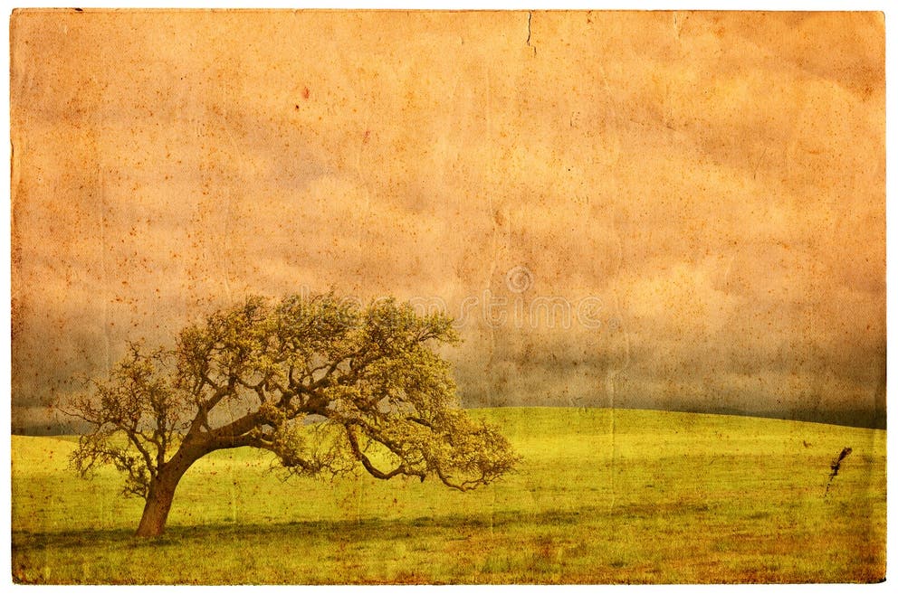 Old Oak Postcard stock photo. Image of clouds, painterly - 16359408