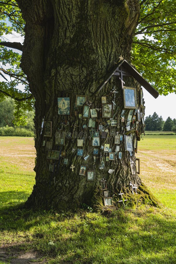 Old Oak Tree with Holy Objects of Orthodox Religion Hanging on it Stock ...