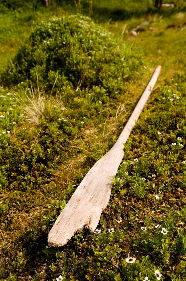 Old oar stock photo. Image of outdoor, wilderness, rowing - 5958962