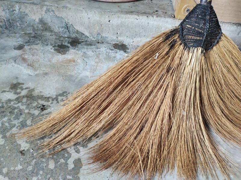 Broom or besom stock photo. Image of leaf, tree, wildlife - 218723968