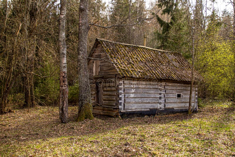 144 Creepy Log Cabin Stock Photos - Free & Royalty-Free Stock Photos ...