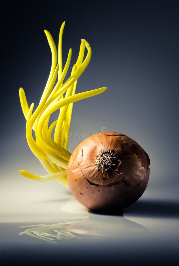 Old onion stock image. Image of background, ingredient - 66534499