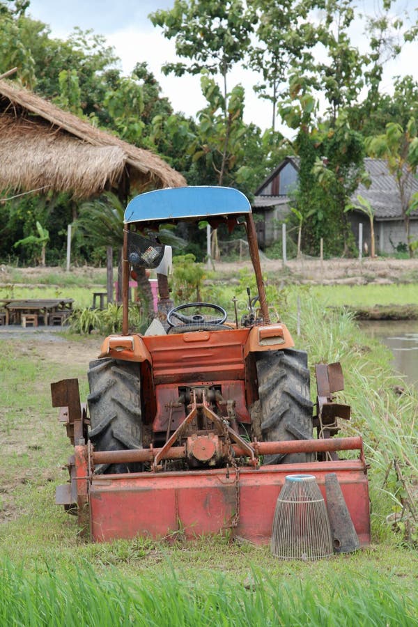 Tractor in Rice Field, Mechanism Farmer Rice Cultivation Stock Image ...