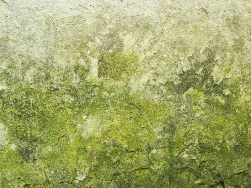 Old Outdoor Street Moldy Wall Texture Stock Image - Image of grunge ...
