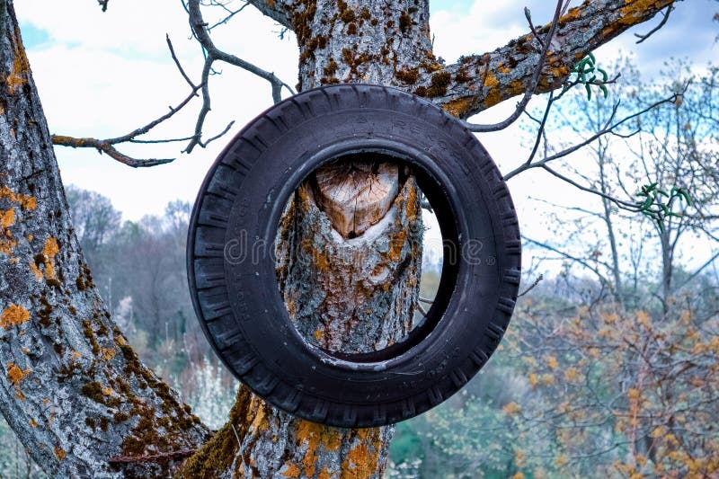Old outer tire stock image. Image of conceptual, rubbish - 314528975