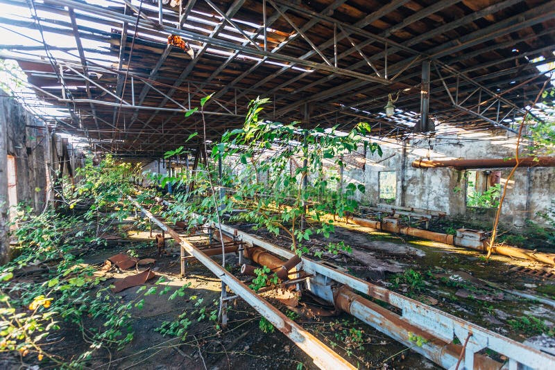 17,922 Overgrown Building Photos - Free & Royalty-Free Stock Photos ...
