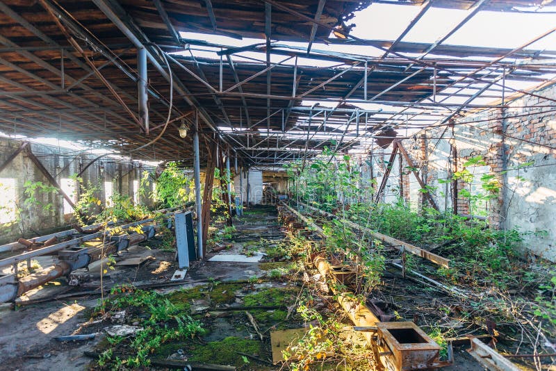 Old Overgrown Abandoned Ruined Industrial Building Stock Image - Image ...