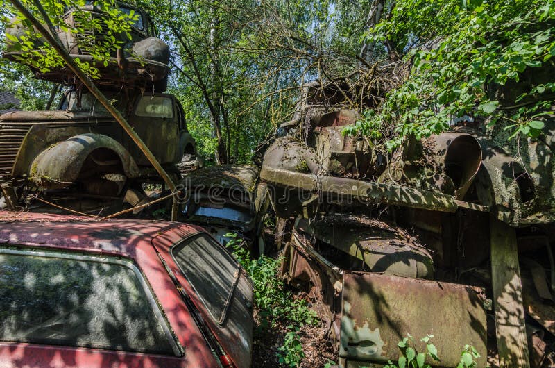 Overgrown Cars in the Forest Stock Photo - Image of mechanics, classic ...