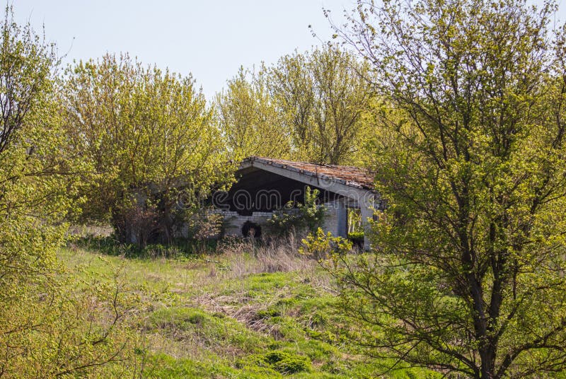 Old Overgrown House in Nature Stock Photo - Image of exterior, tree ...