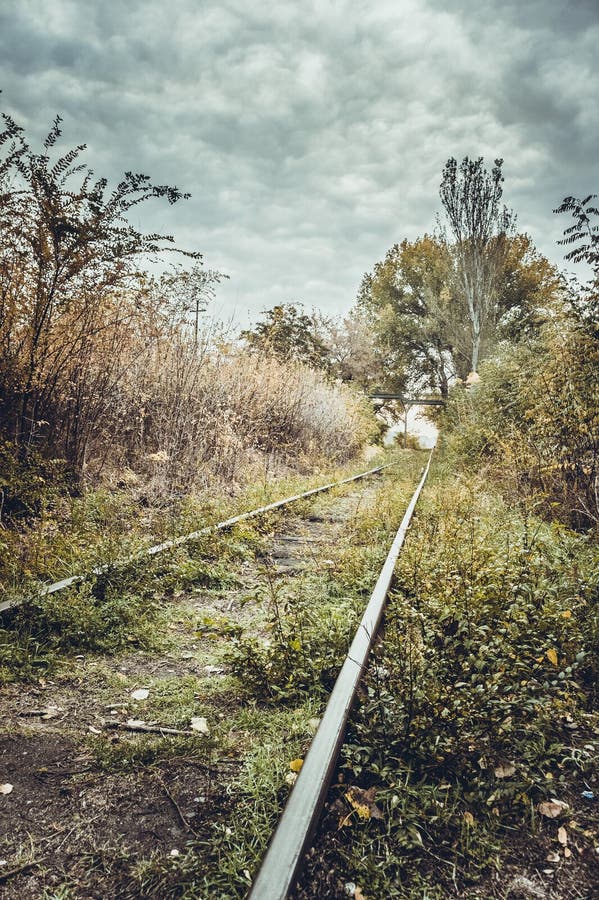 Old Overgrown Railway in Autumn Stock Photo - Image of derelict ...