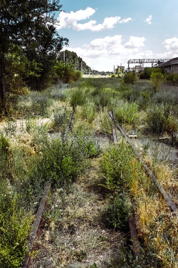 Old overgrown railway stock photo. Image of rusty, line - 95147306