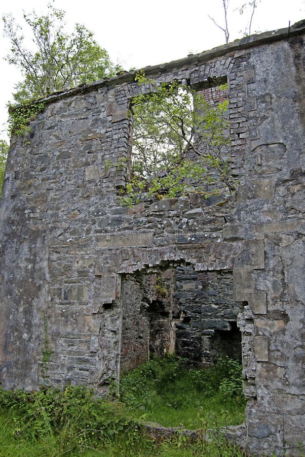 An Old and Overgrown Remains of a Castle, Ireland Stock Photo - Image ...