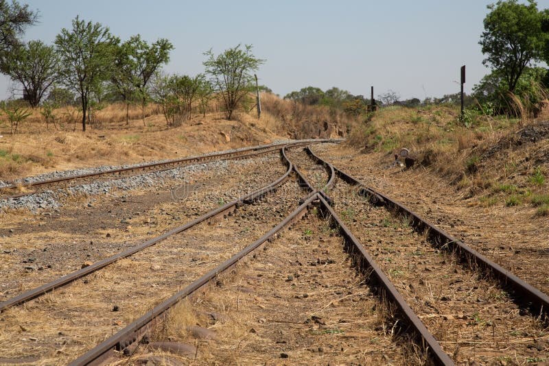 Old Used Railway Tracks in and a Small Flower Stock Photo - Image of ...