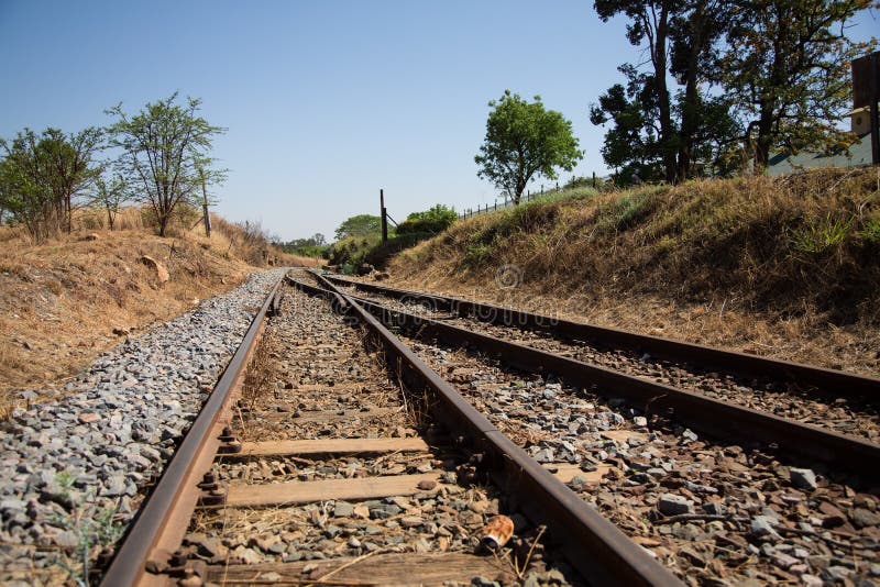 Old Used Railway Tracks in and a Small Flower Stock Photo - Image of ...