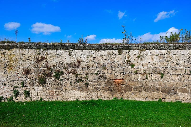 Old overgrown wall stock photo. Image of green, blue - 16206558