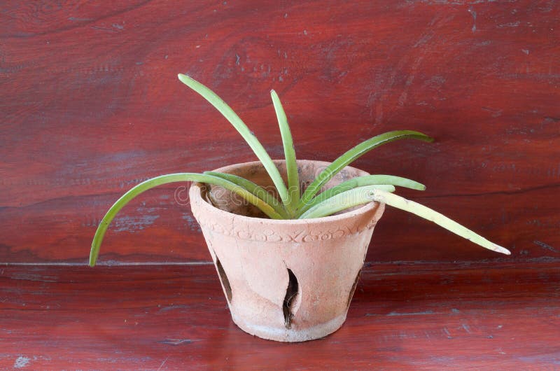 Old padlock and reflection stock photo. Image of decorative - 44149694