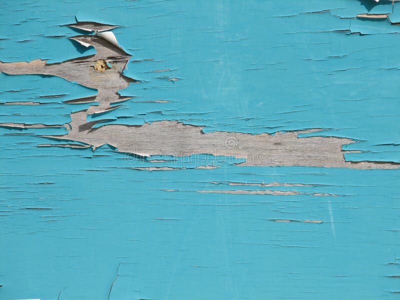 Old paint stock image. Image of bird, outdoor, outside - 793893