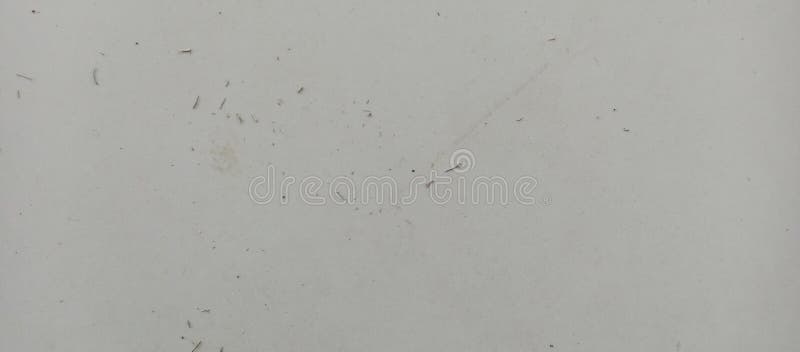 Old Paint Wall Texture, Bone White Color Stock Photo - Image of circle ...