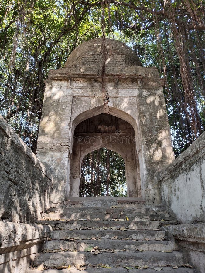 Old palace ruins stock image. Image of history, tree - 212198889