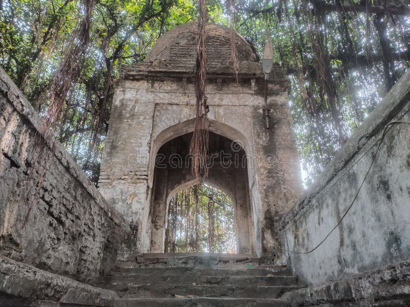Old palace ruins stock photo. Image of tree, chapel - 238056802