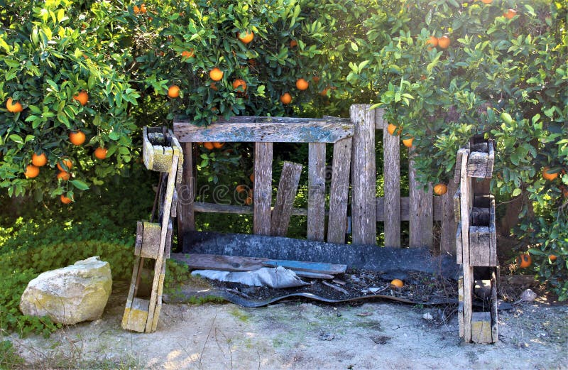 Old Pallets stock photo. Image of garden, grove, wall - 216060218