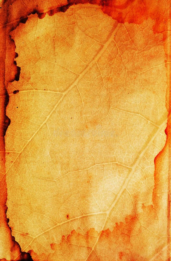 Old paper stock photo. Image of border, grime, pattern - 14880326