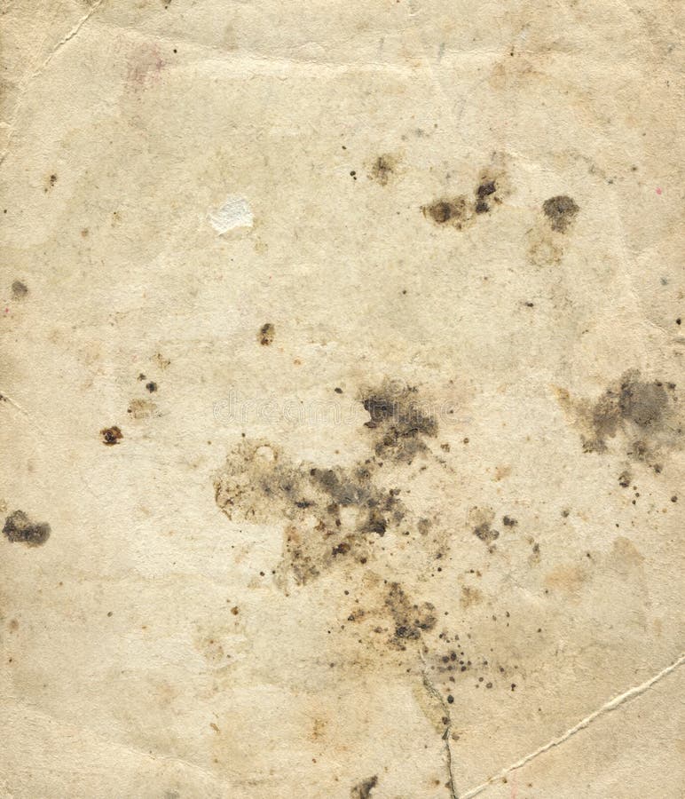 775 Moldy Paper Stock Photos - Free & Royalty-Free Stock Photos from ...