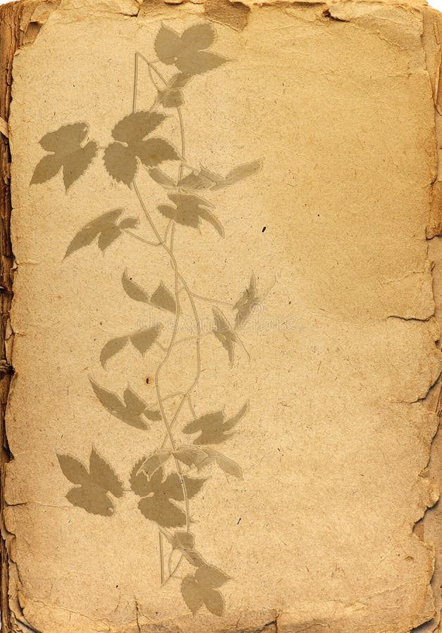 Old paper stock image. Image of decayed, texture, dirty - 3673257